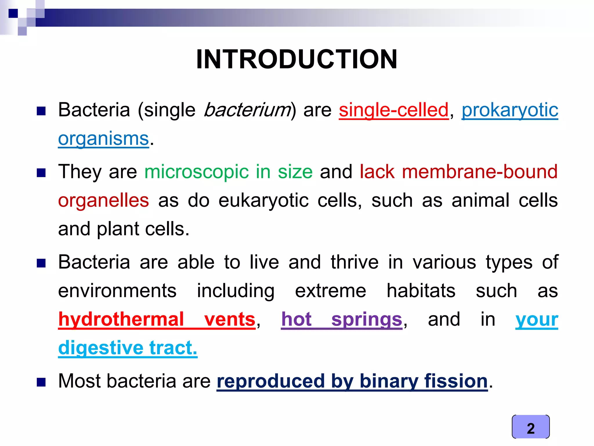 Medical Microbiology Laboratory (bacterial shapes, arrangement and staining techniques) | PDF
