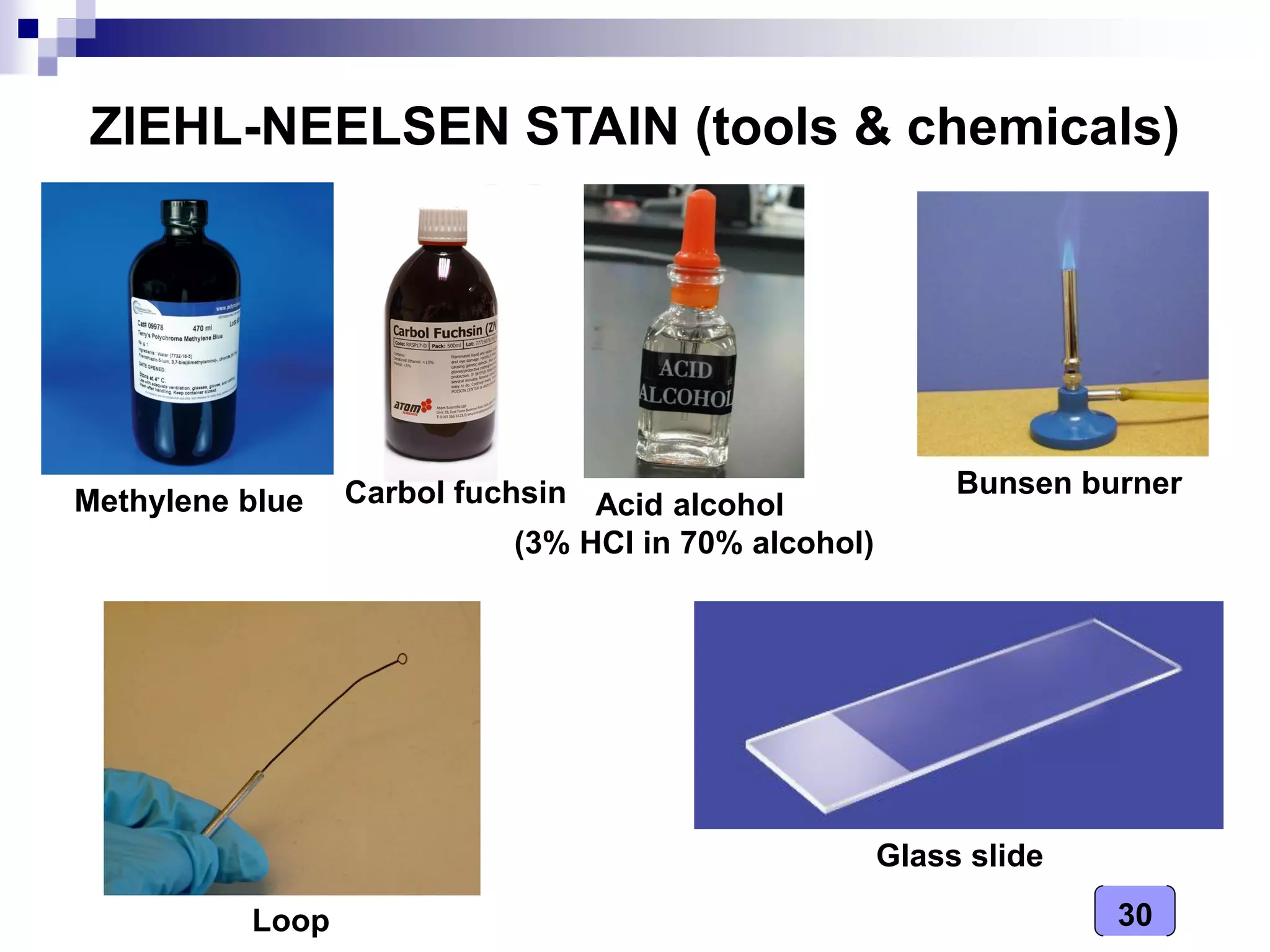 Medical Microbiology Laboratory (bacterial shapes, arrangement and staining techniques) | PDF