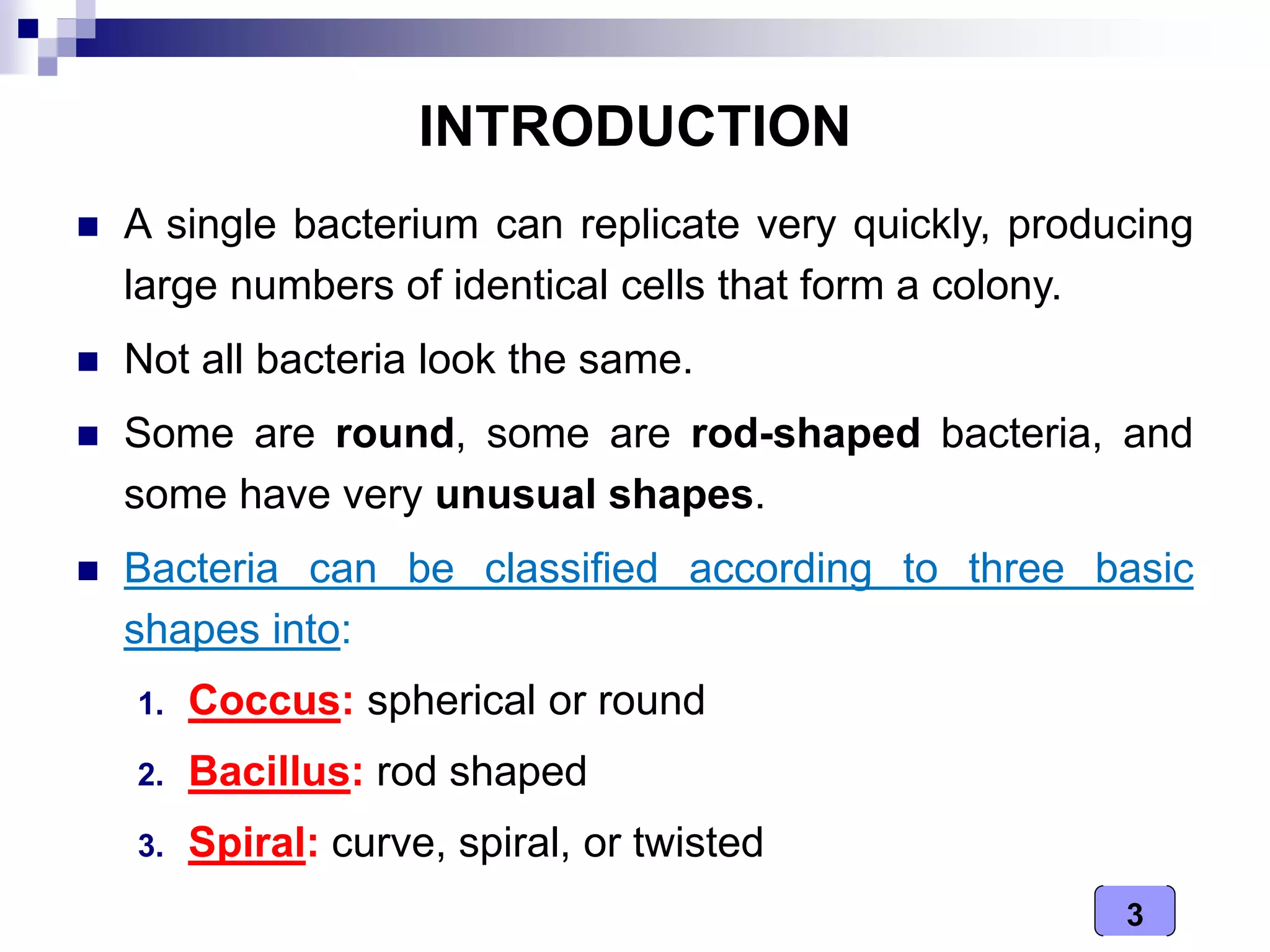Medical Microbiology Laboratory (bacterial shapes, arrangement and ...