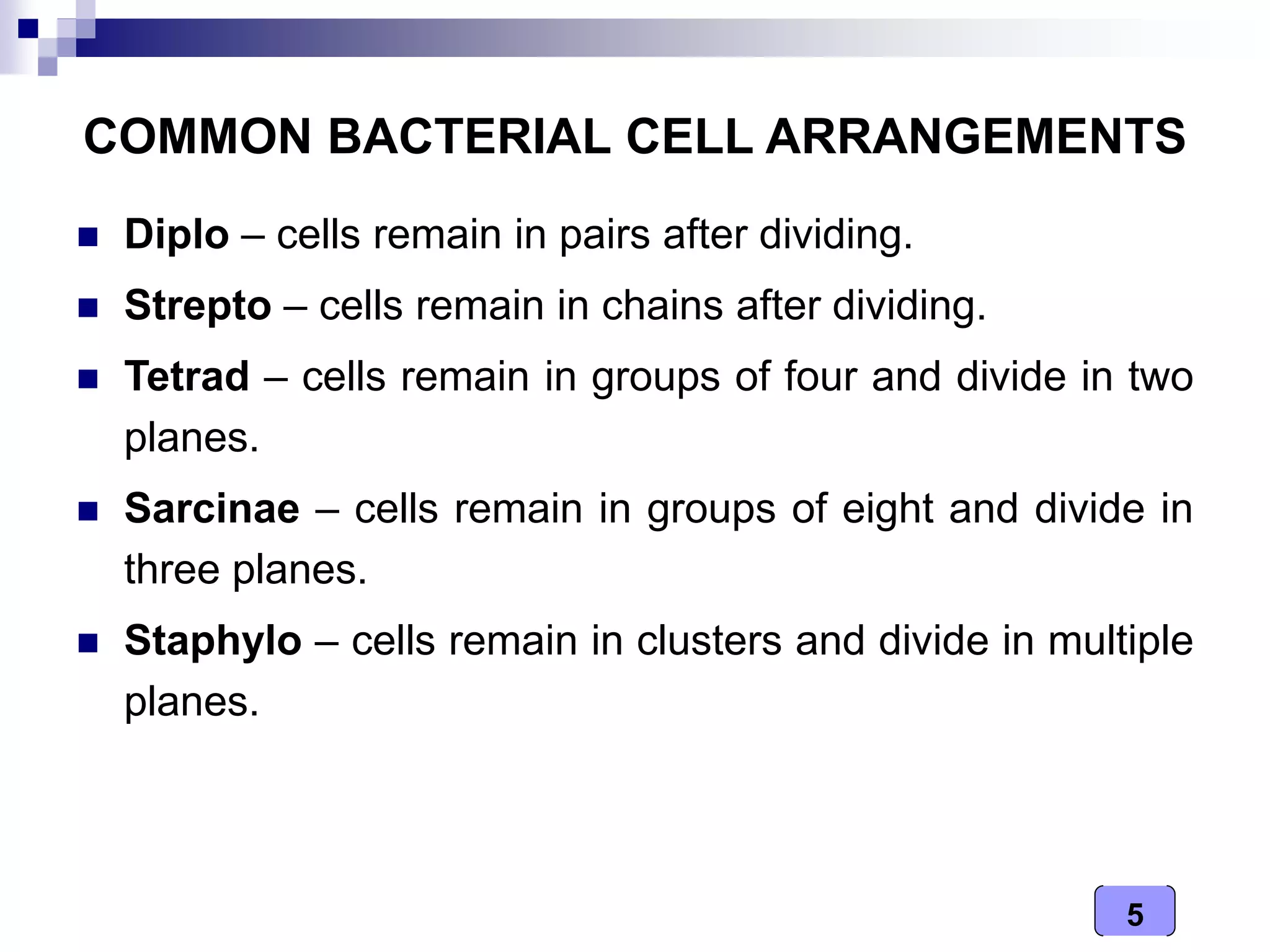 Medical Microbiology Laboratory (bacterial shapes, arrangement and ...