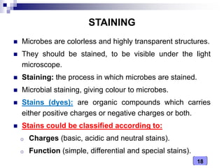 Medical Microbiology Laboratory (bacterial shapes, arrangement and ...