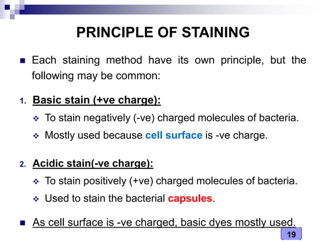 Medical Microbiology Laboratory (bacterial shapes, arrangement and staining techniques) | PDF