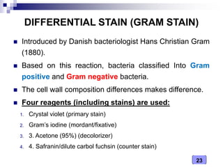 Medical Microbiology Laboratory (bacterial shapes, arrangement and ...