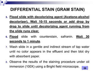 Medical Microbiology Laboratory (bacterial shapes, arrangement and ...