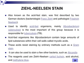 Medical Microbiology Laboratory (bacterial shapes, arrangement and ...