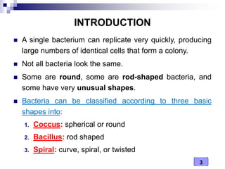 Medical Microbiology Laboratory (bacterial shapes, arrangement and ...