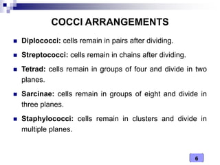 Medical Microbiology Laboratory (bacterial shapes, arrangement and staining techniques) | PDF