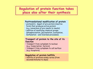 L08 protein metabolism | PPT