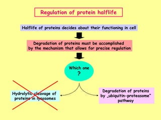 L08 protein metabolism | PDF