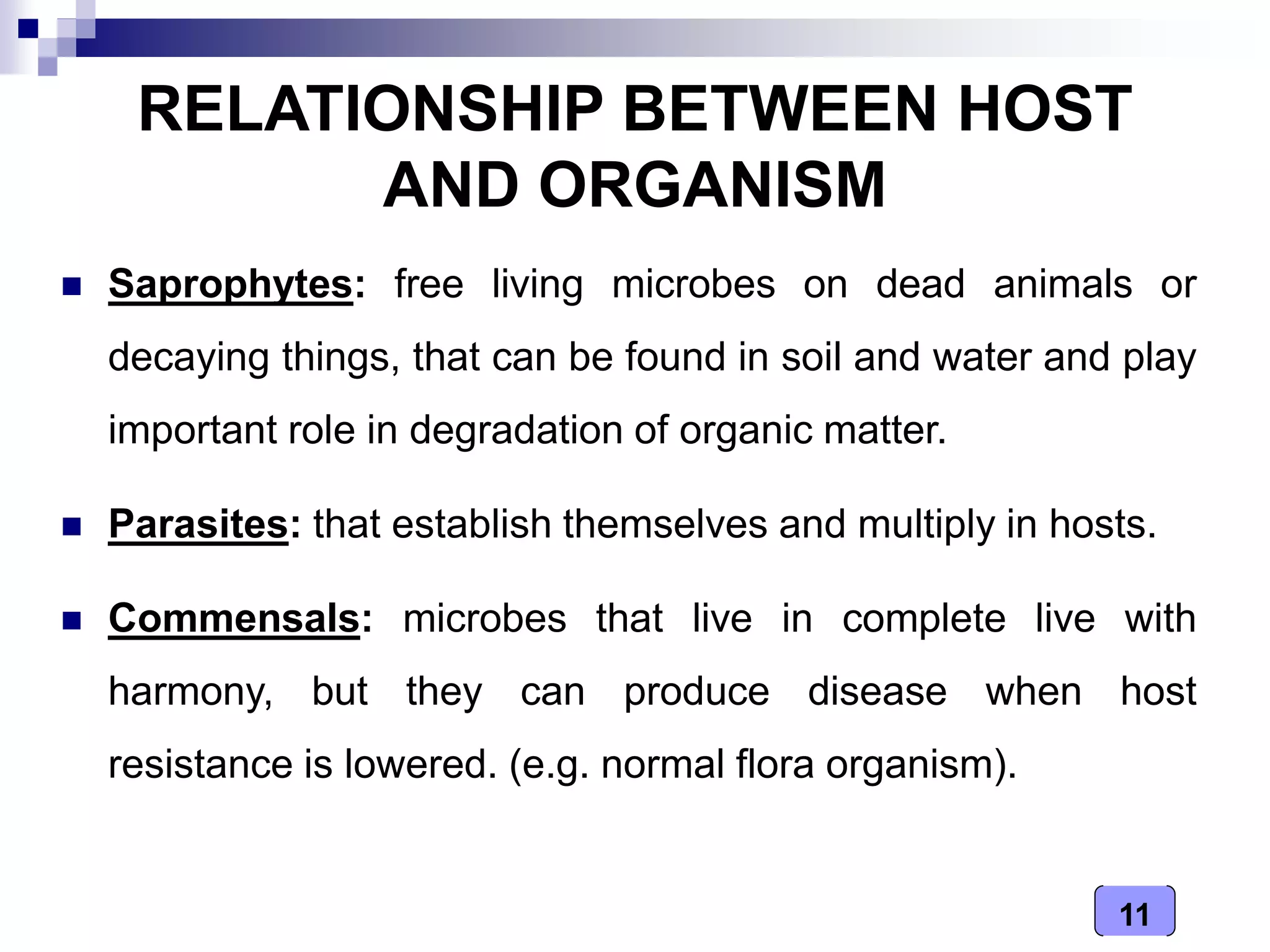 Medical Microbiology Laboratory (pathogenic bacteria classification) | PDF