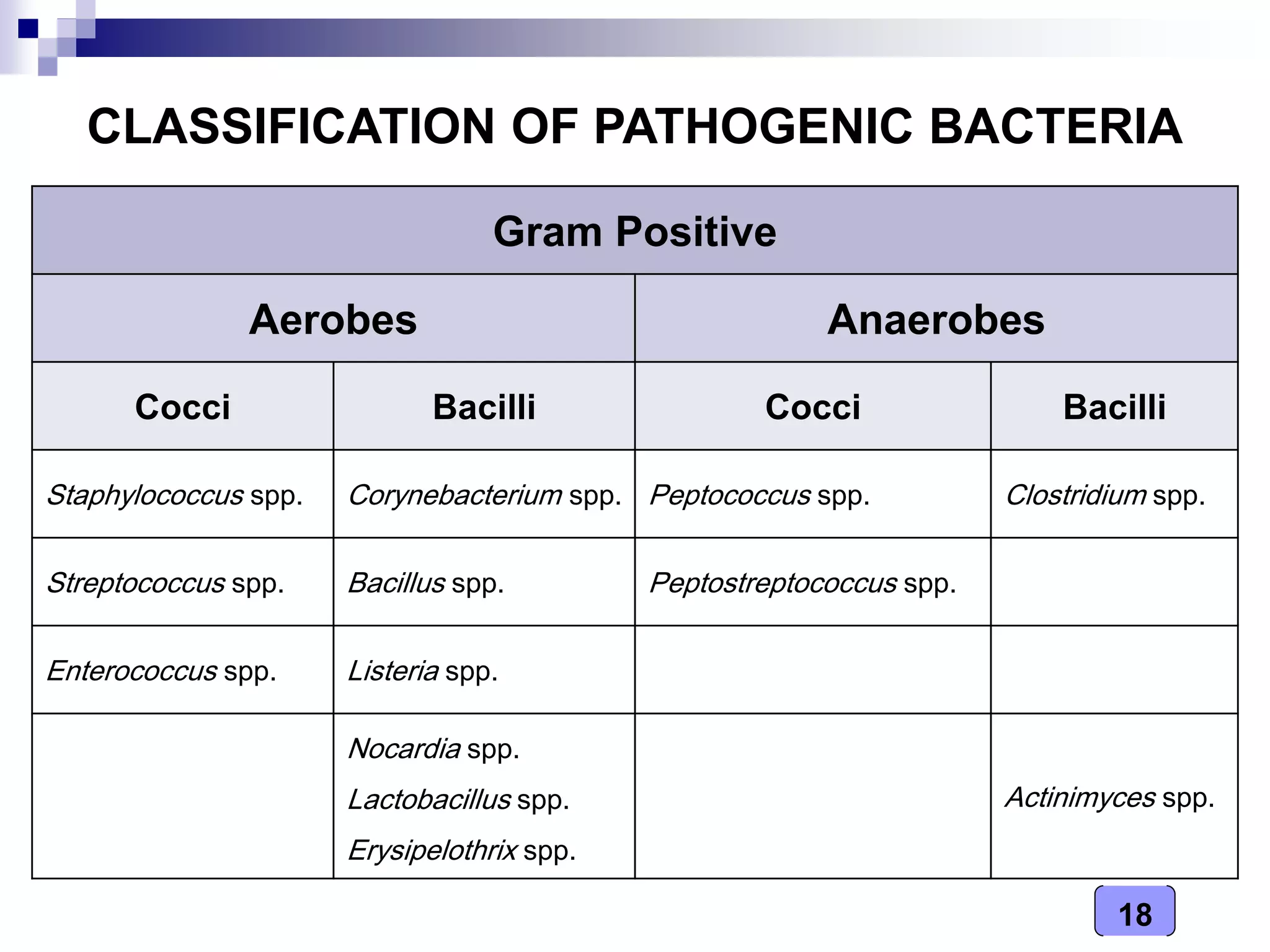 Medical Microbiology Laboratory (pathogenic bacteria classification) | PDF