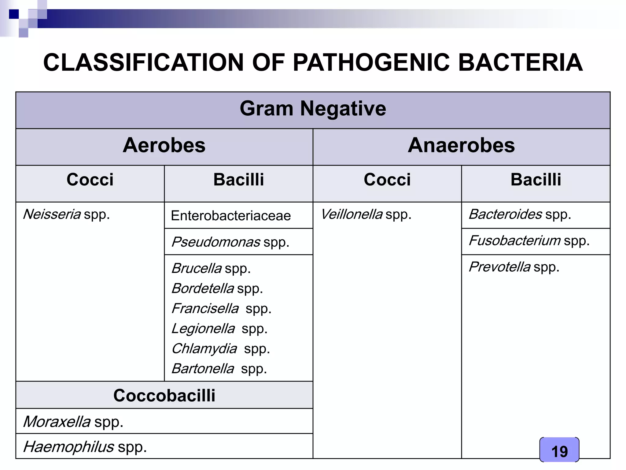 Medical Microbiology Laboratory (pathogenic bacteria classification) | PDF
