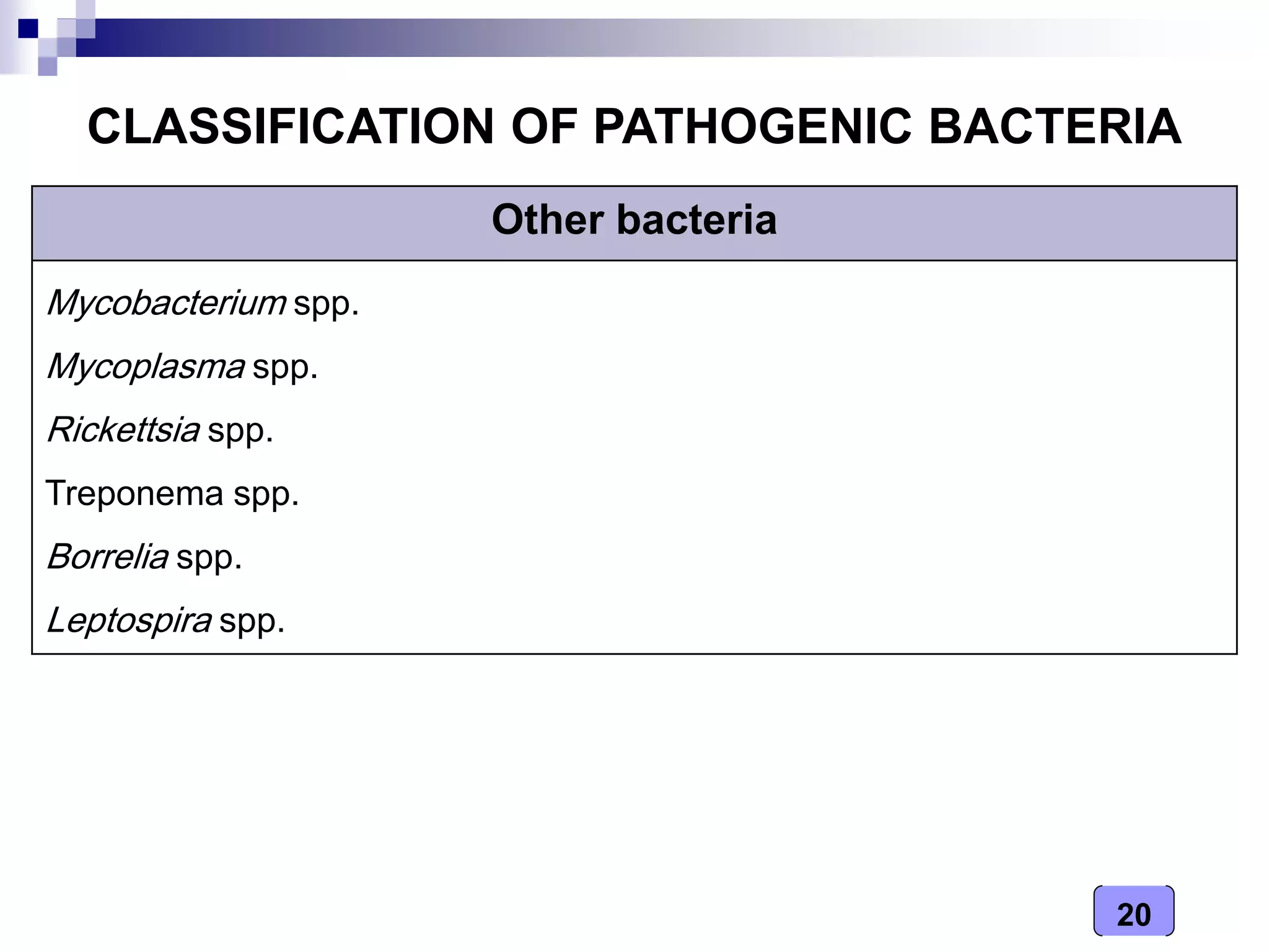 Medical Microbiology Laboratory (pathogenic bacteria classification) | PDF