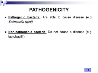 Medical Microbiology Laboratory (pathogenic bacteria classification) | PDF
