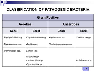 Medical Microbiology Laboratory (pathogenic bacteria classification) | PDF