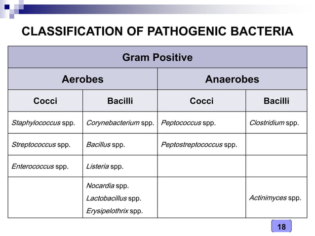 Medical Microbiology Laboratory (pathogenic bacteria classification)