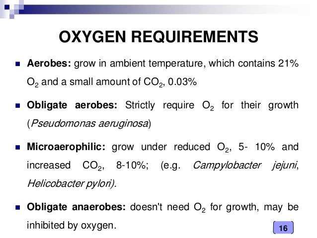 Medical Microbiology Laboratory (pathogenic bacteria classification)
