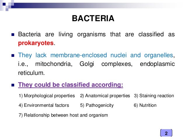 Bacteriology Definition Classifications And In Medicine
