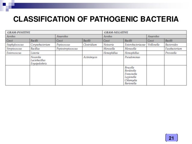 Medical Microbiology Laboratory (pathogenic bacteria classification)