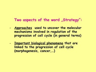 L09 cell cycle | PPT