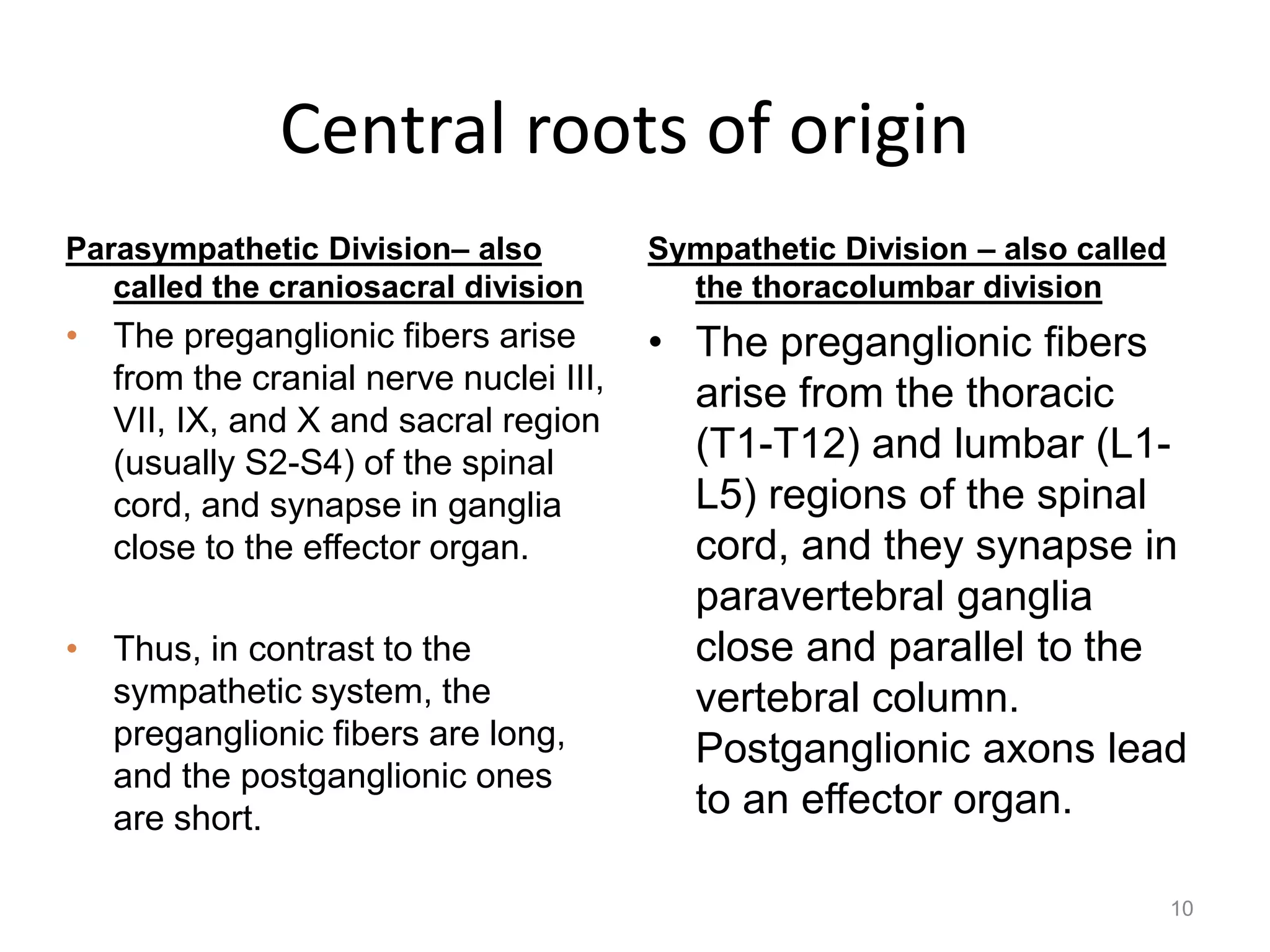 L1: Drugs acting on the ANS | PPTX