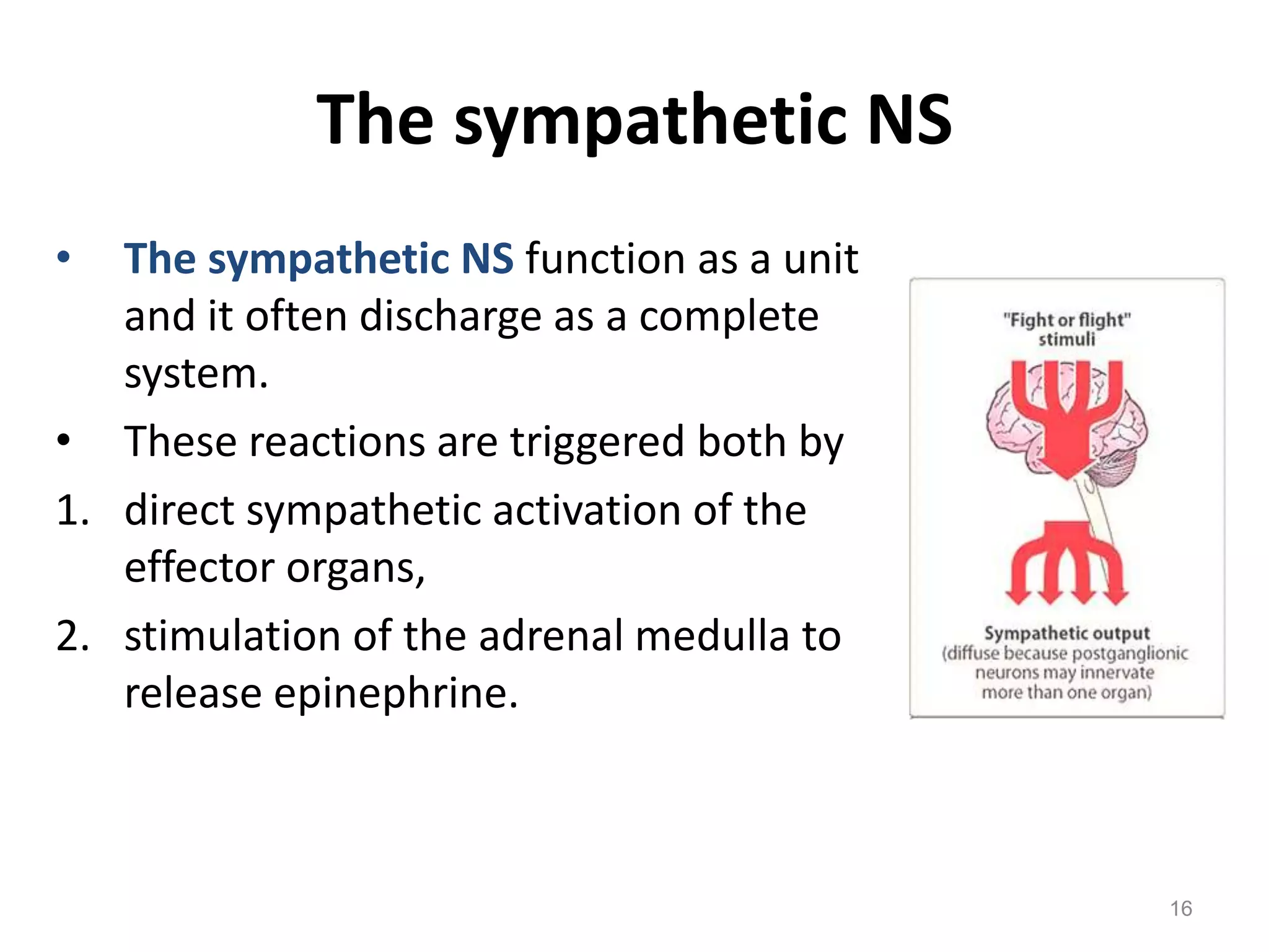 L1: Drugs acting on the ANS | PPTX