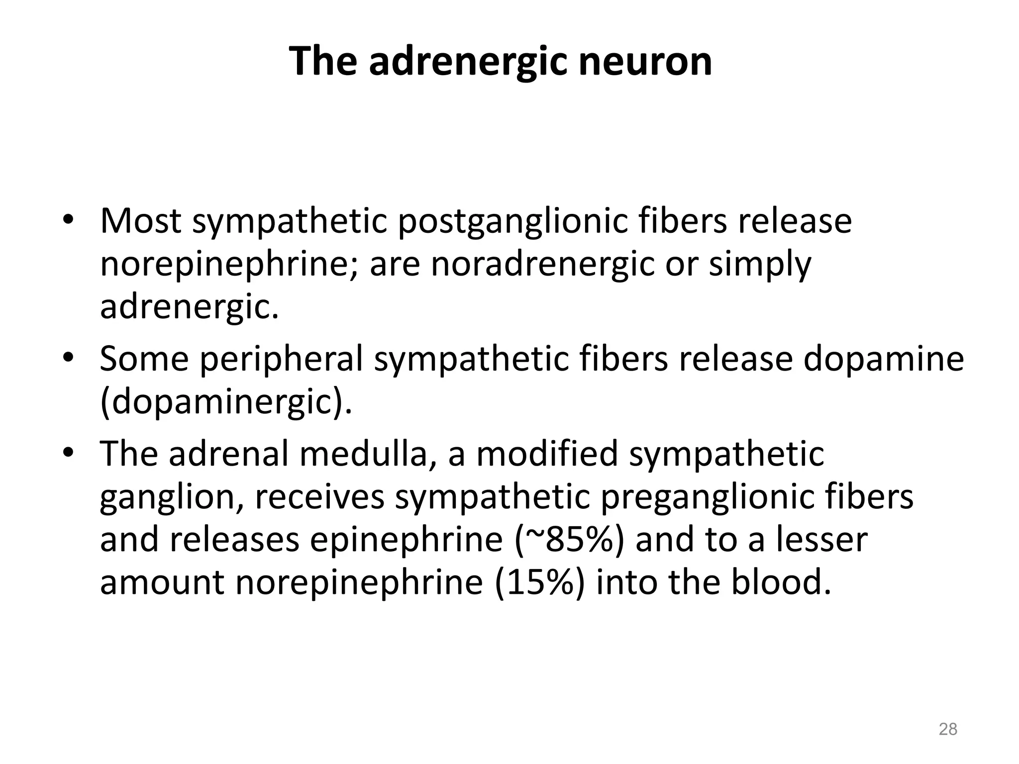 L1: Drugs acting on the ANS | PPTX