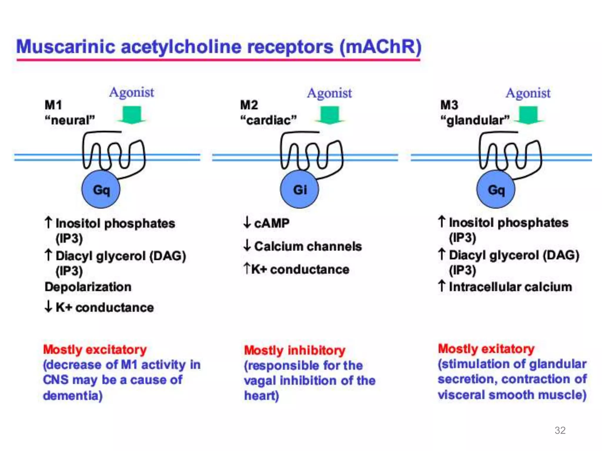 L1: Drugs acting on the ANS | PPTX