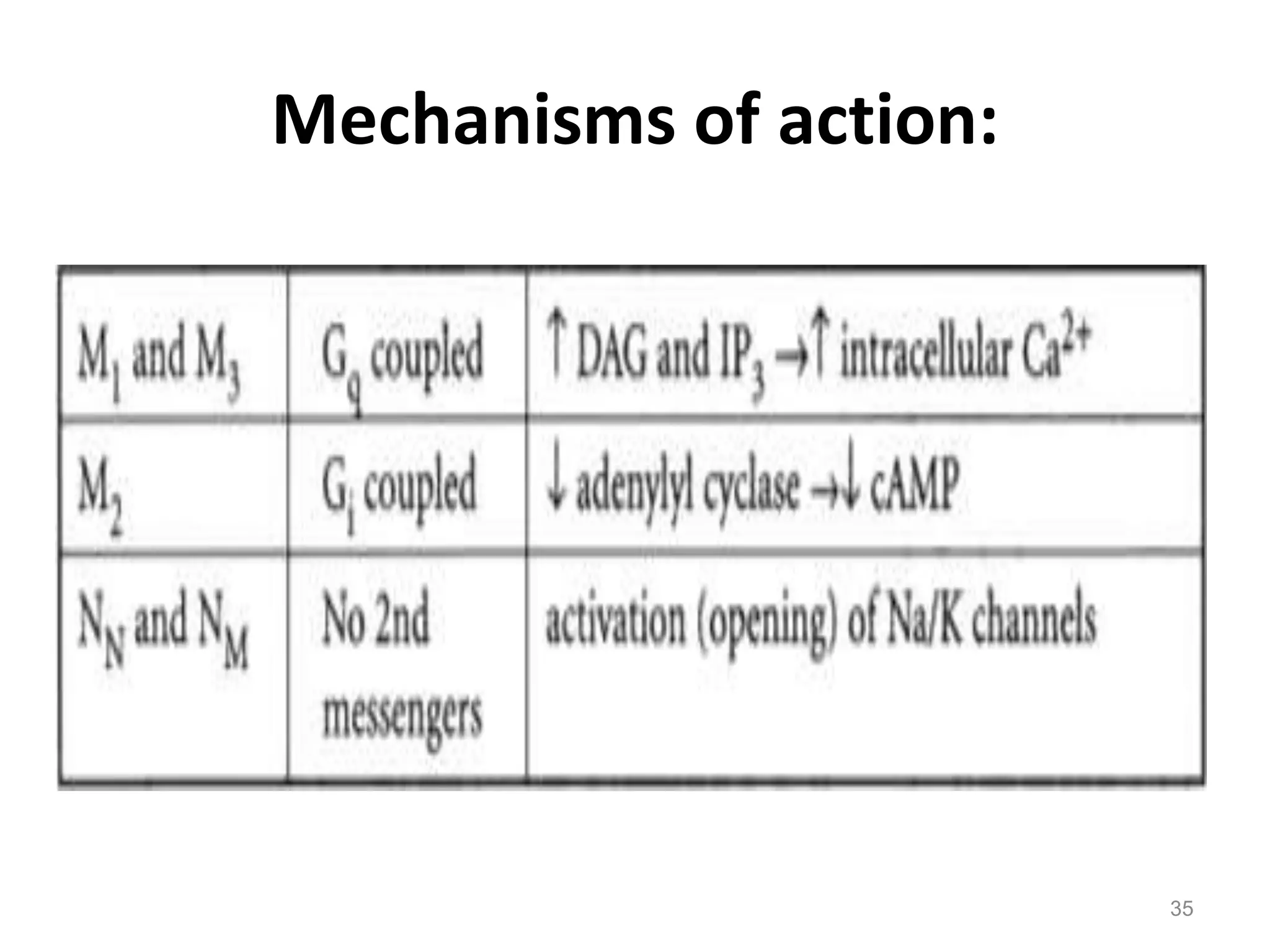 L1: Drugs acting on the ANS | PPTX