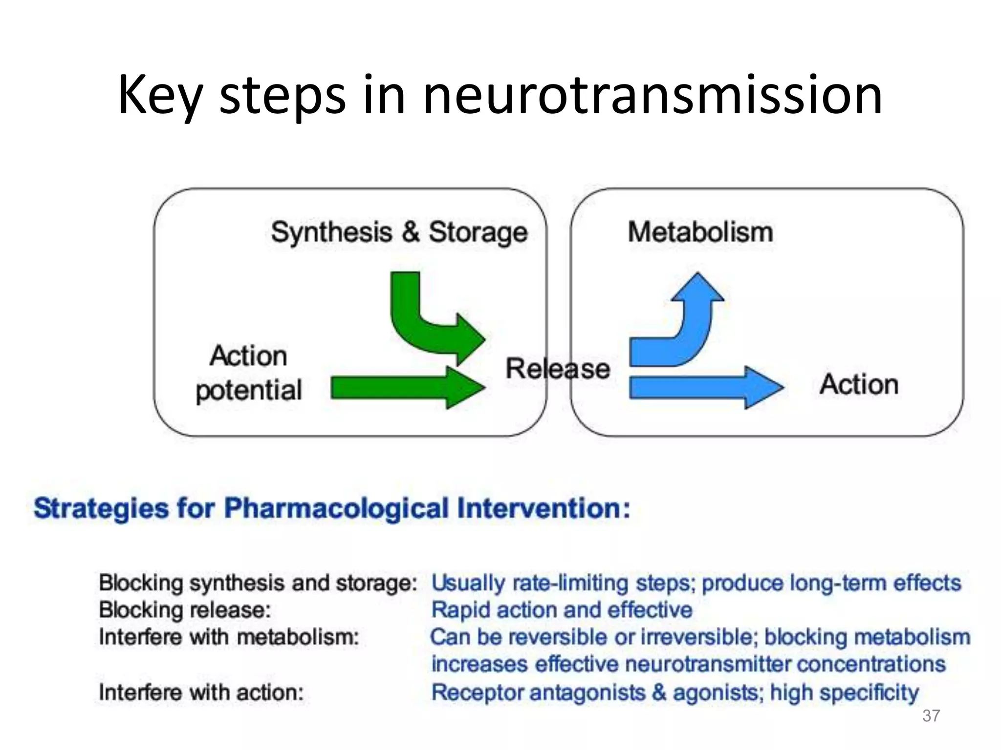 L1: Drugs acting on the ANS | PPTX