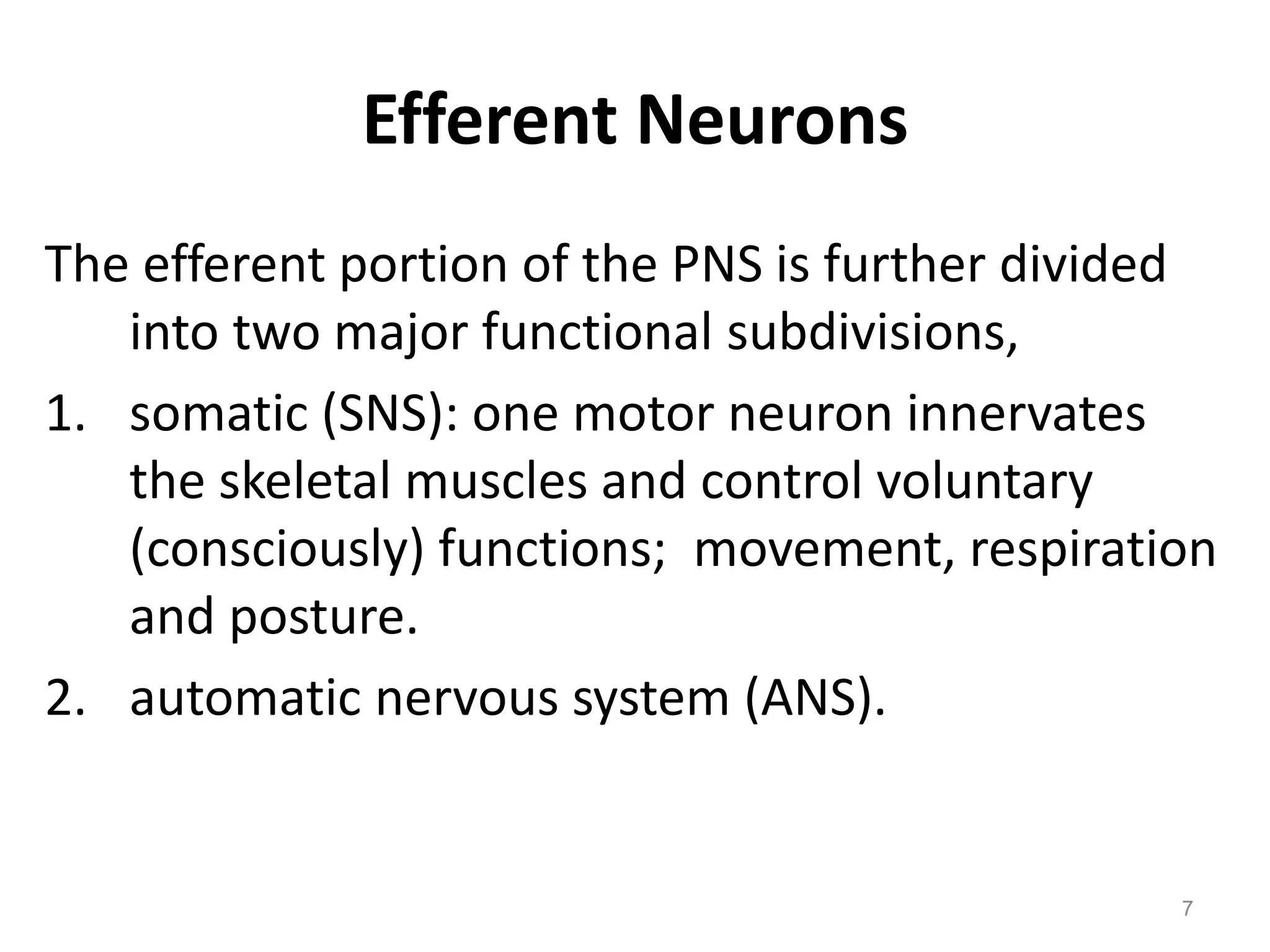 L1: Drugs acting on the ANS | PPTX