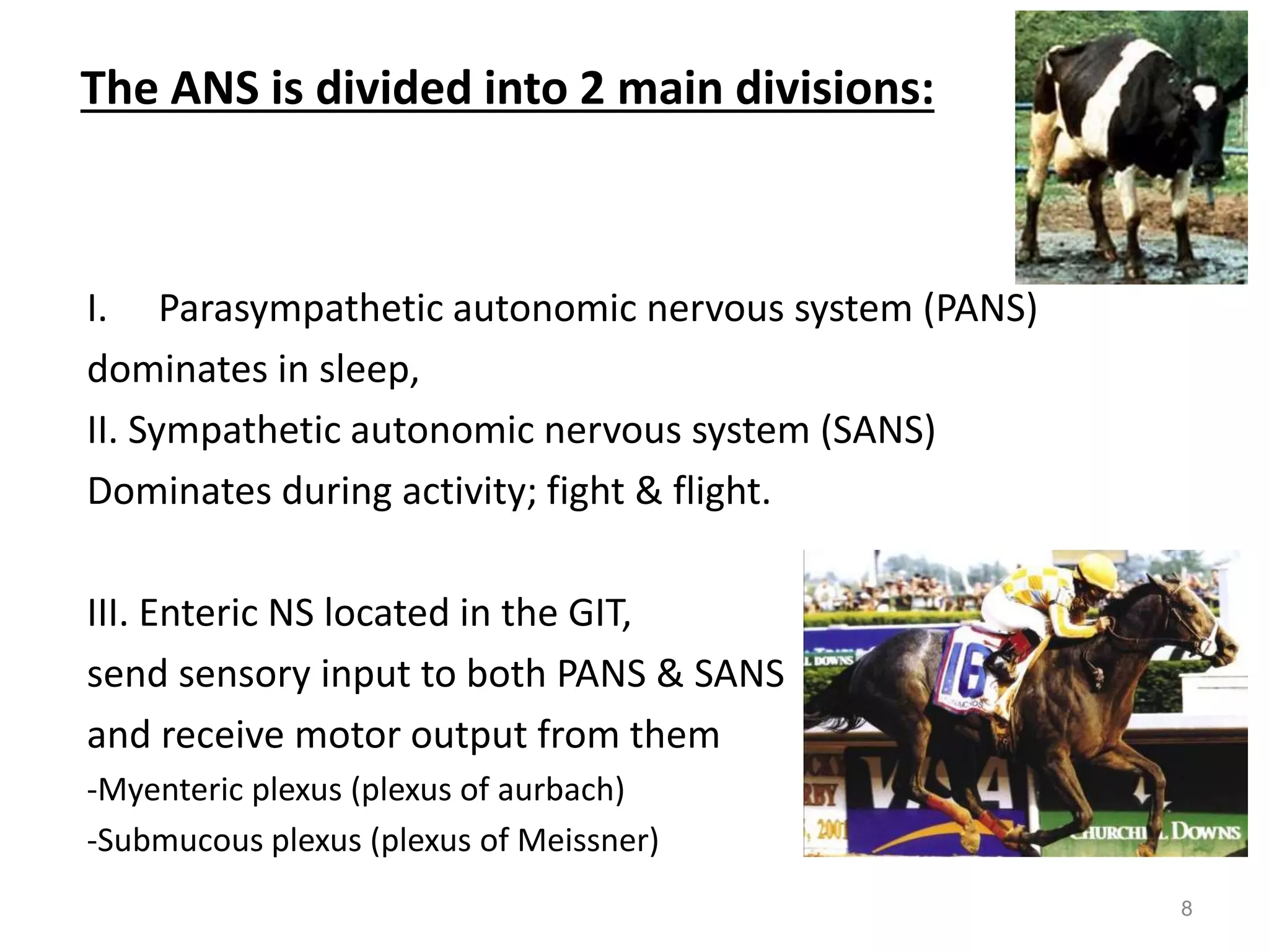 L1: Drugs acting on the ANS | PPTX
