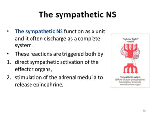L1: Drugs acting on the ANS | PPTX