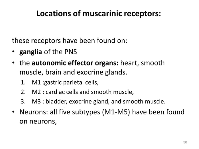 L1: Drugs acting on the ANS | PPTX