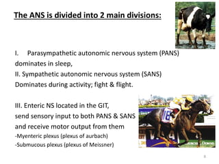L1: Drugs acting on the ANS | PPTX