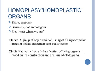 Vertebrate anatomy "term and concepts" | PPT