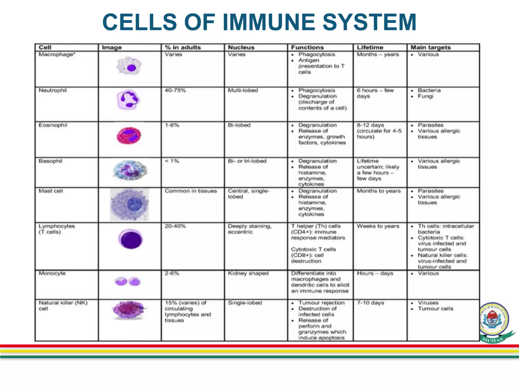 L1.0 Immune System component .pptx