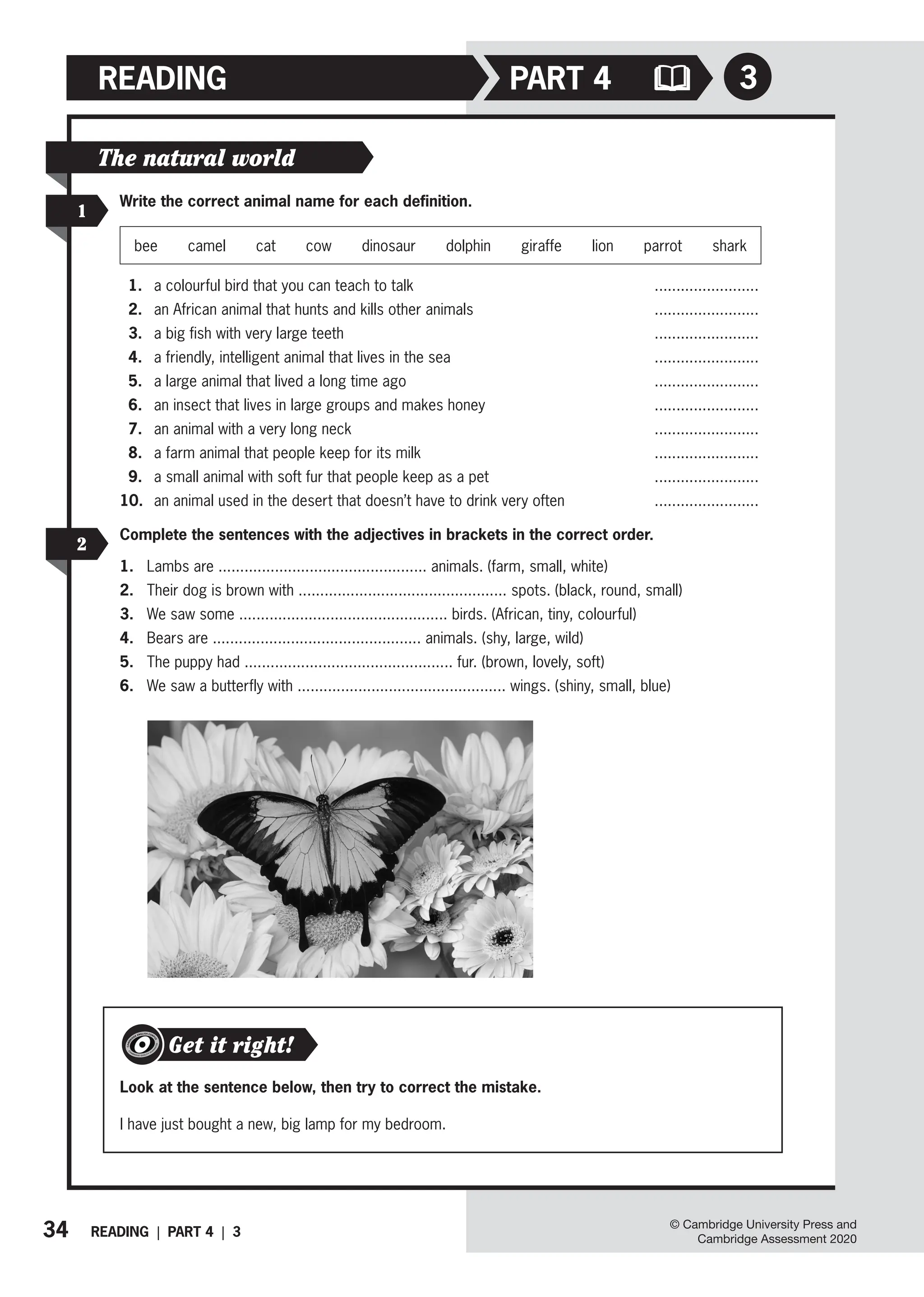 B2 Exam Booster Cambridge English preliminary | PDF