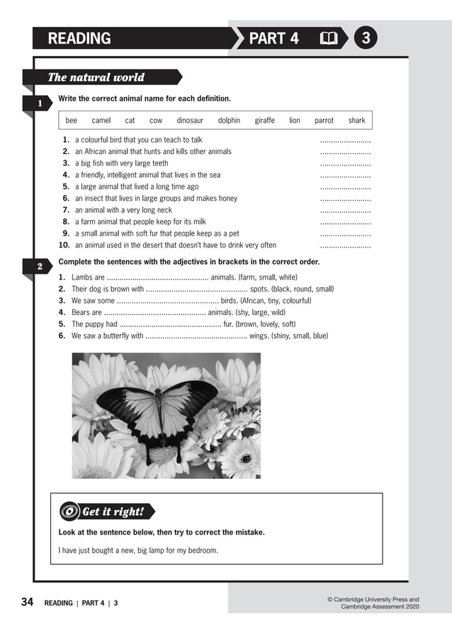 B2 Exam Booster Cambridge English preliminary | PDF