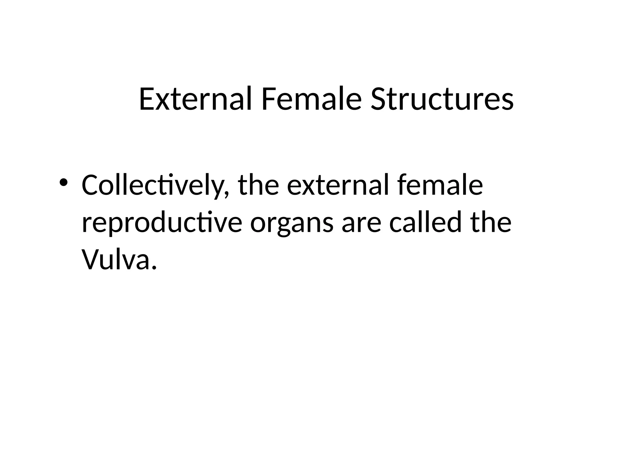 L 1. Anatomy of the female reproductive system.pptx