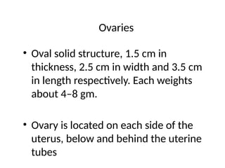 L 1. Anatomy of the female reproductive system.pptx