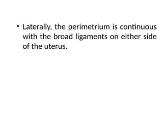 L 1. Anatomy of the female reproductive system.pptx