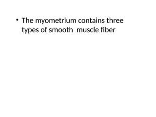 L 1. Anatomy of the female reproductive system.pptx