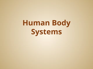 Human Body system Grade 8 Science Lesson number 1 | PPTX