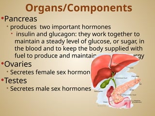 Human Body system Grade 8 Science Lesson number 1 | PPTX