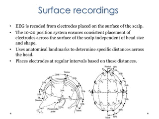 Biophysical Basis of EEG | PPTX