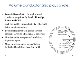 Biophysical Basis of EEG | PPTX