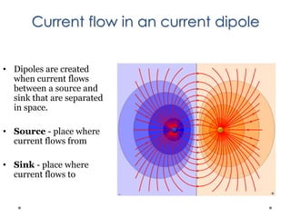 Biophysical Basis of EEG | PPTX