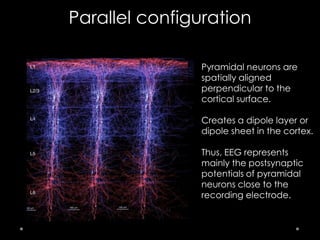 Biophysical Basis of EEG | PPTX
