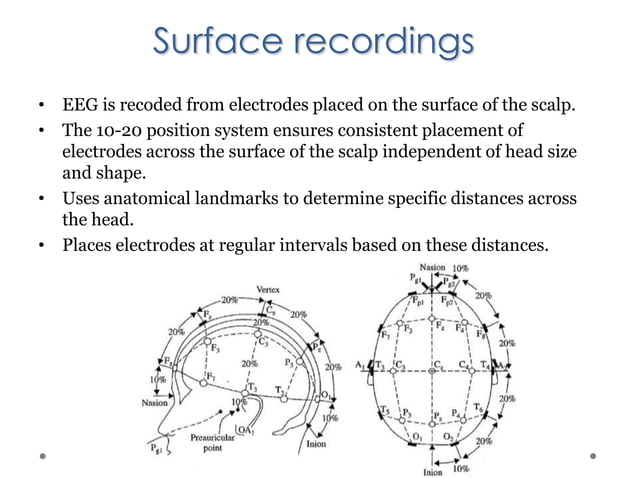 Biophysical Basis of EEG | PPT